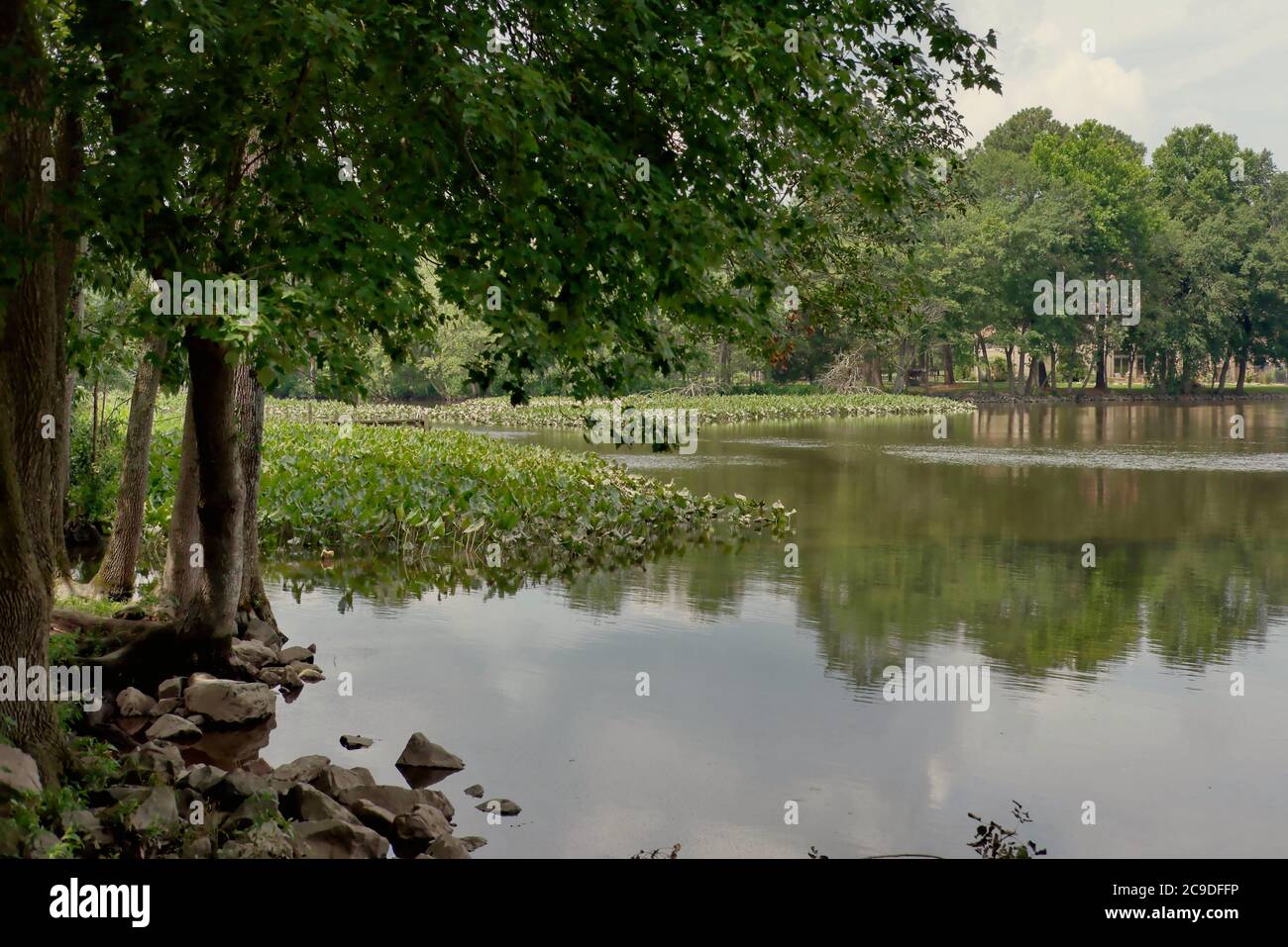 Riverbank scene in Bethel, Delaware Stock Photo - Alamy