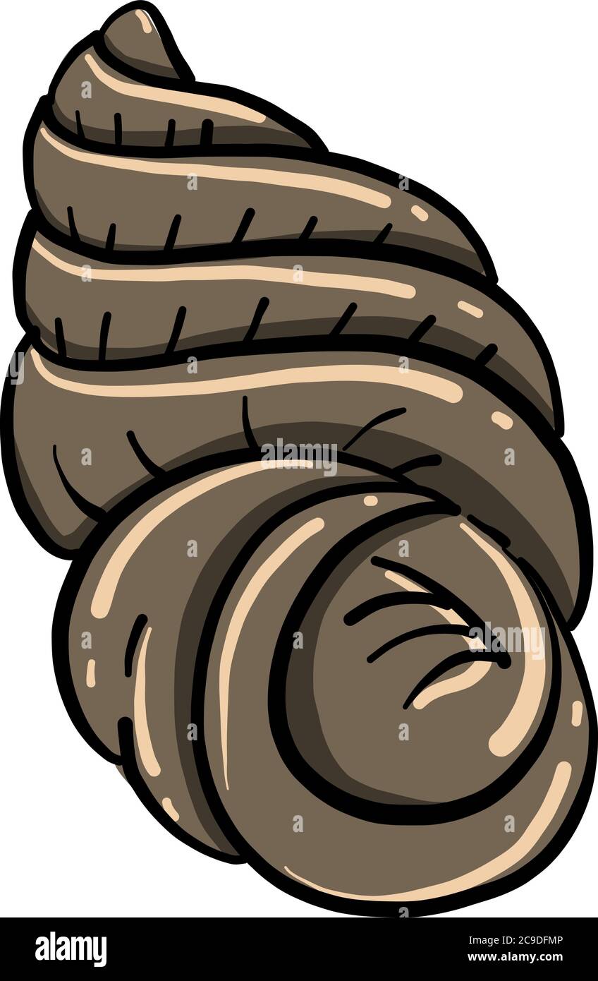 Brown shell, illustration, vector on white background Stock Vector ...