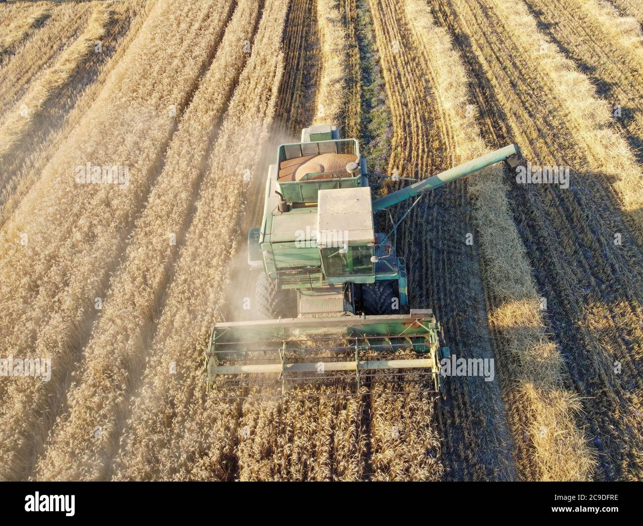 Combine harvester harvests barley hi-res stock photography and images ...