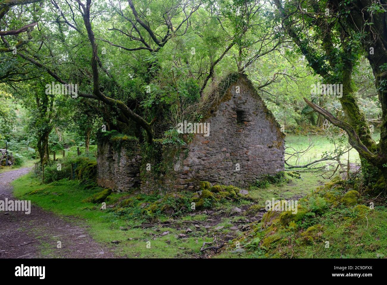 Walking the Kerry Way in 2019 in count Kerry in the south of Ireland ...