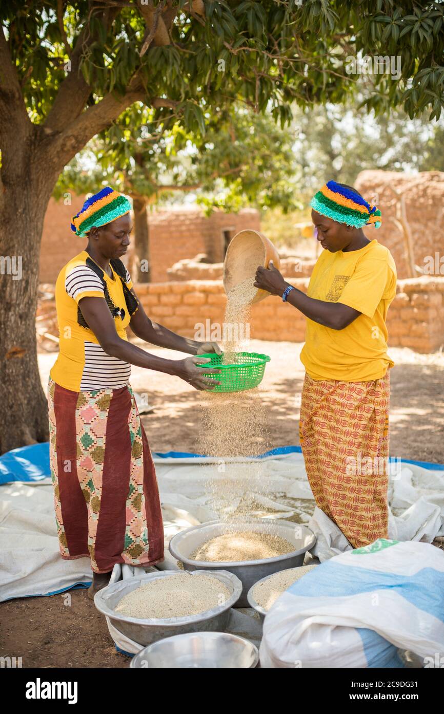 Two women sift their sesame seed crop together in rural village in ...