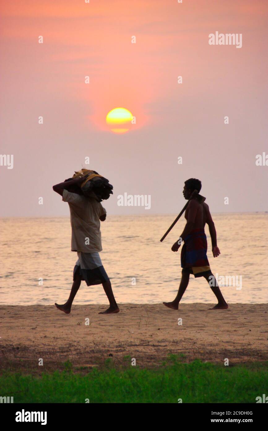 two lumberjacks on the beach at the Indian ocean Stock Photo - Alamy