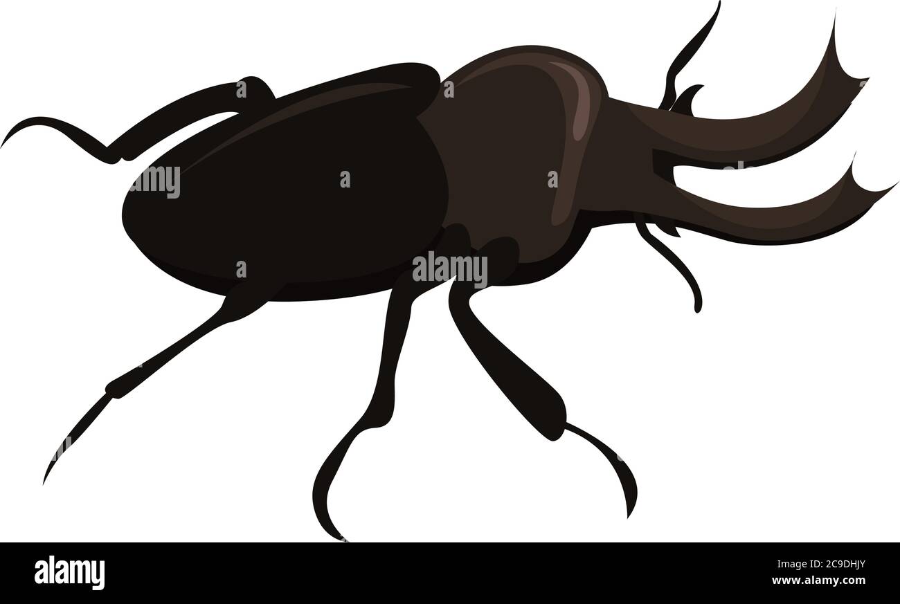 Stag beetle, illustration, vector on white background Stock Vector ...
