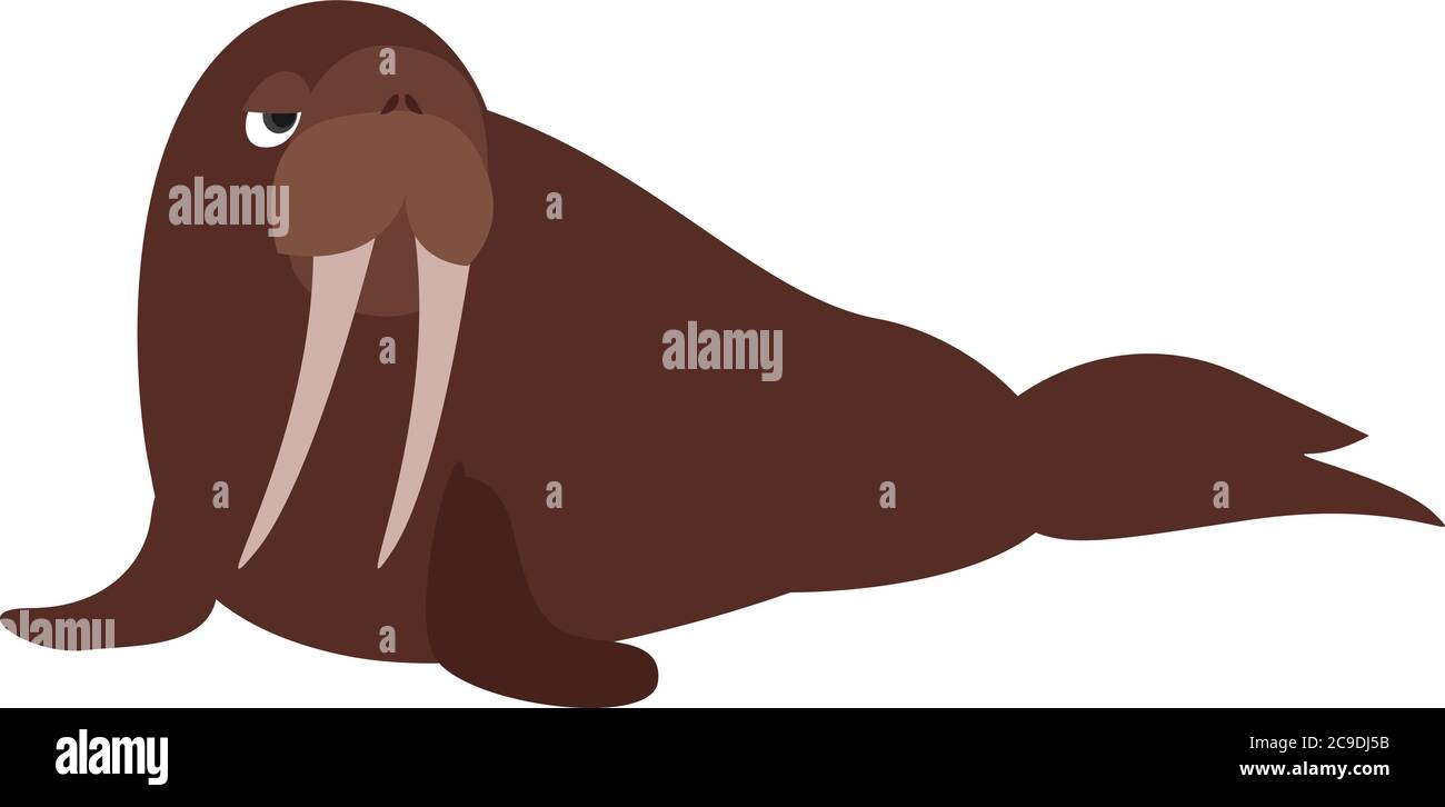 Big brown walrus, illustration, vector on white background Stock Vector ...