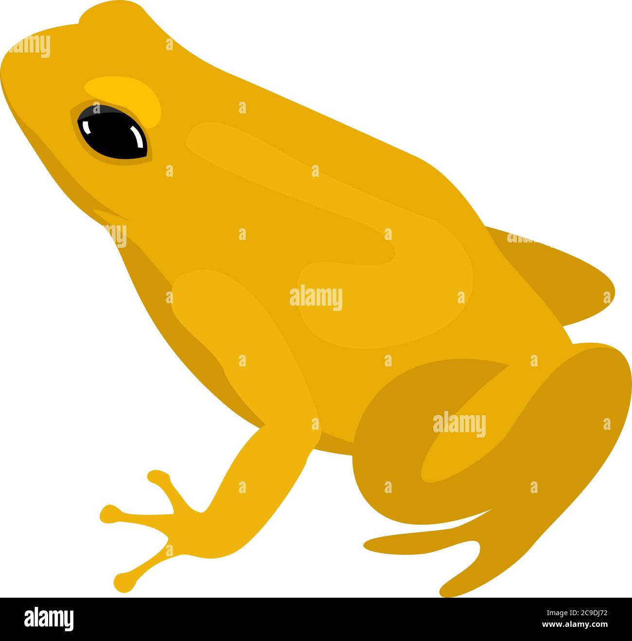 Yellow frog, illustration, vector on white background Stock Vector ...