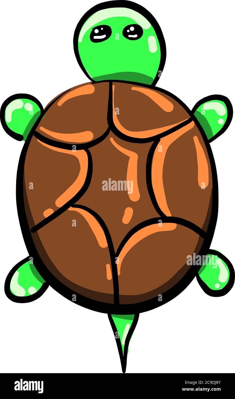 Small tortoise, illustration, vector on white background Stock Vector ...