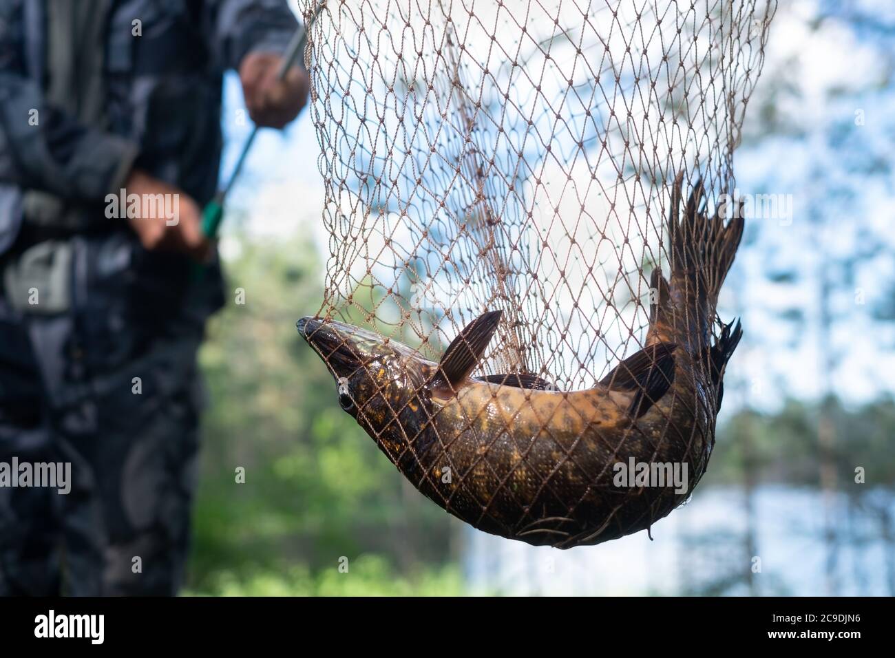 Pike landing hi-res stock photography and images - Alamy