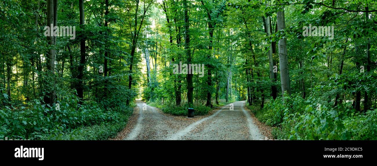 Two paths hi-res stock photography and images - Alamy
