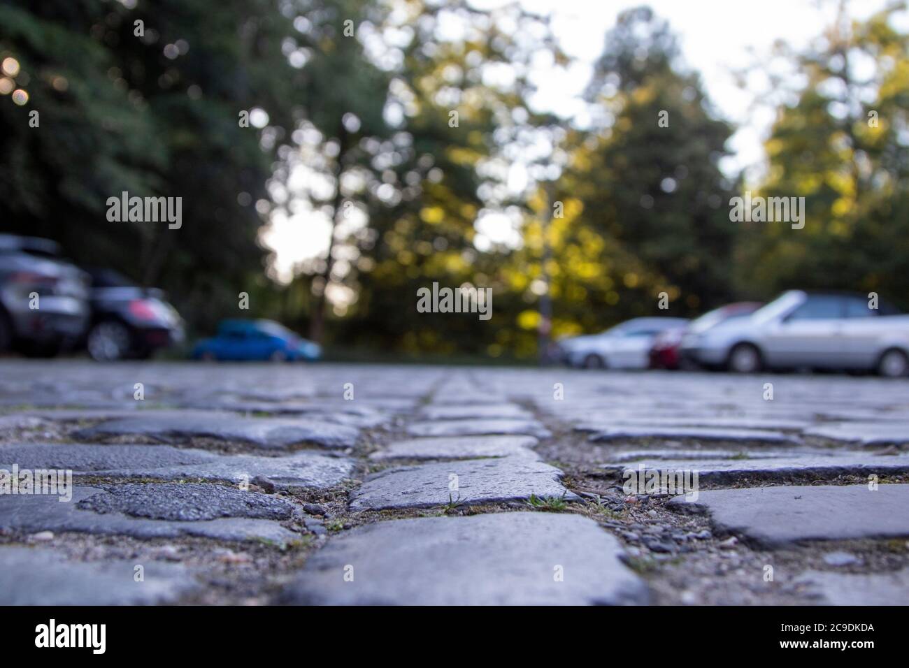 parking cars in a parking lot with paving stones, surrounded by trees ...