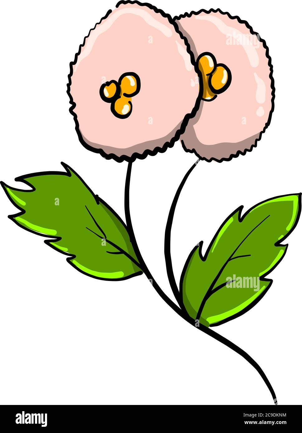 Unusual flower, illustration, vector on white background Stock Vector ...