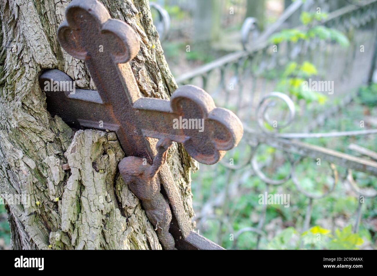 The Christian cross of the grave is rooted in a tree Stock Photo - Alamy