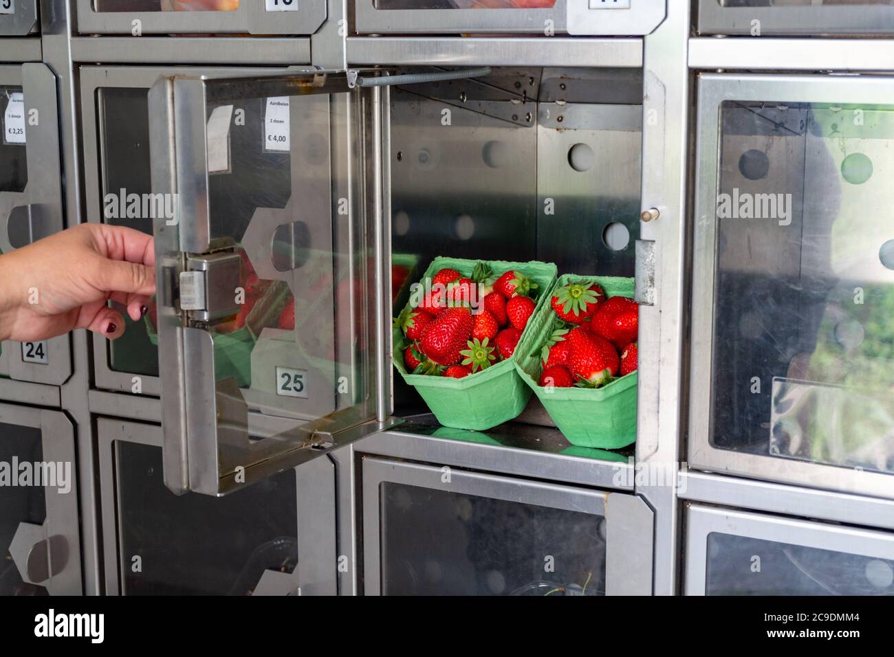 Automatic vending machine fot sale of fresh fruits and berries ...