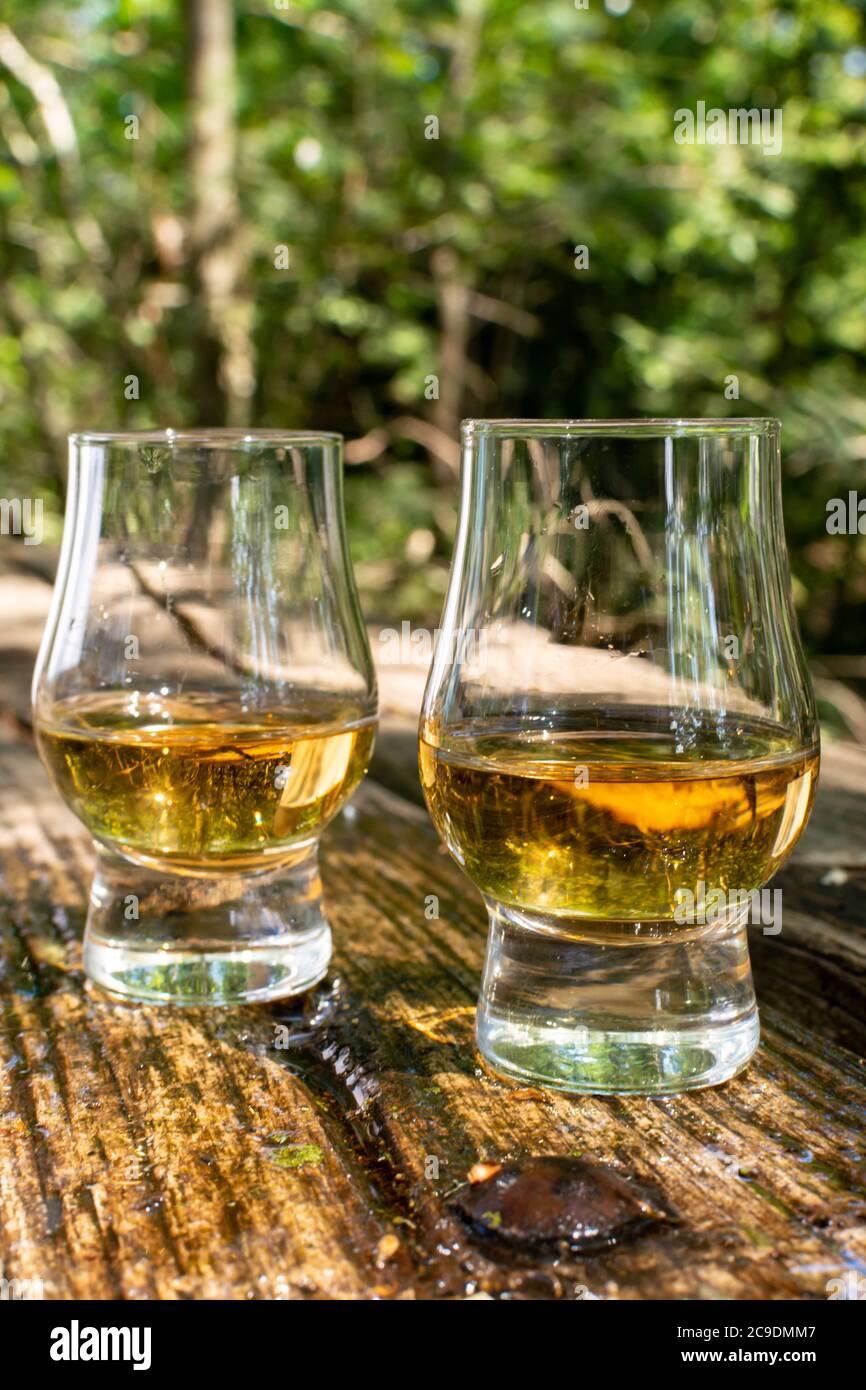 Tasting of different Scotch whiskies on outdoor terrace, dram of ...