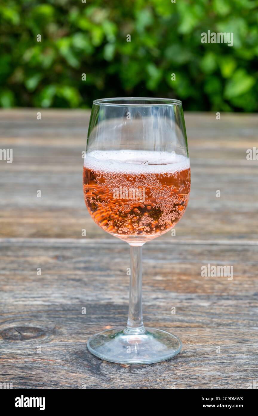 Tasting of Dutch sparkling rose wine on vineyard in summer Stock Photo ...