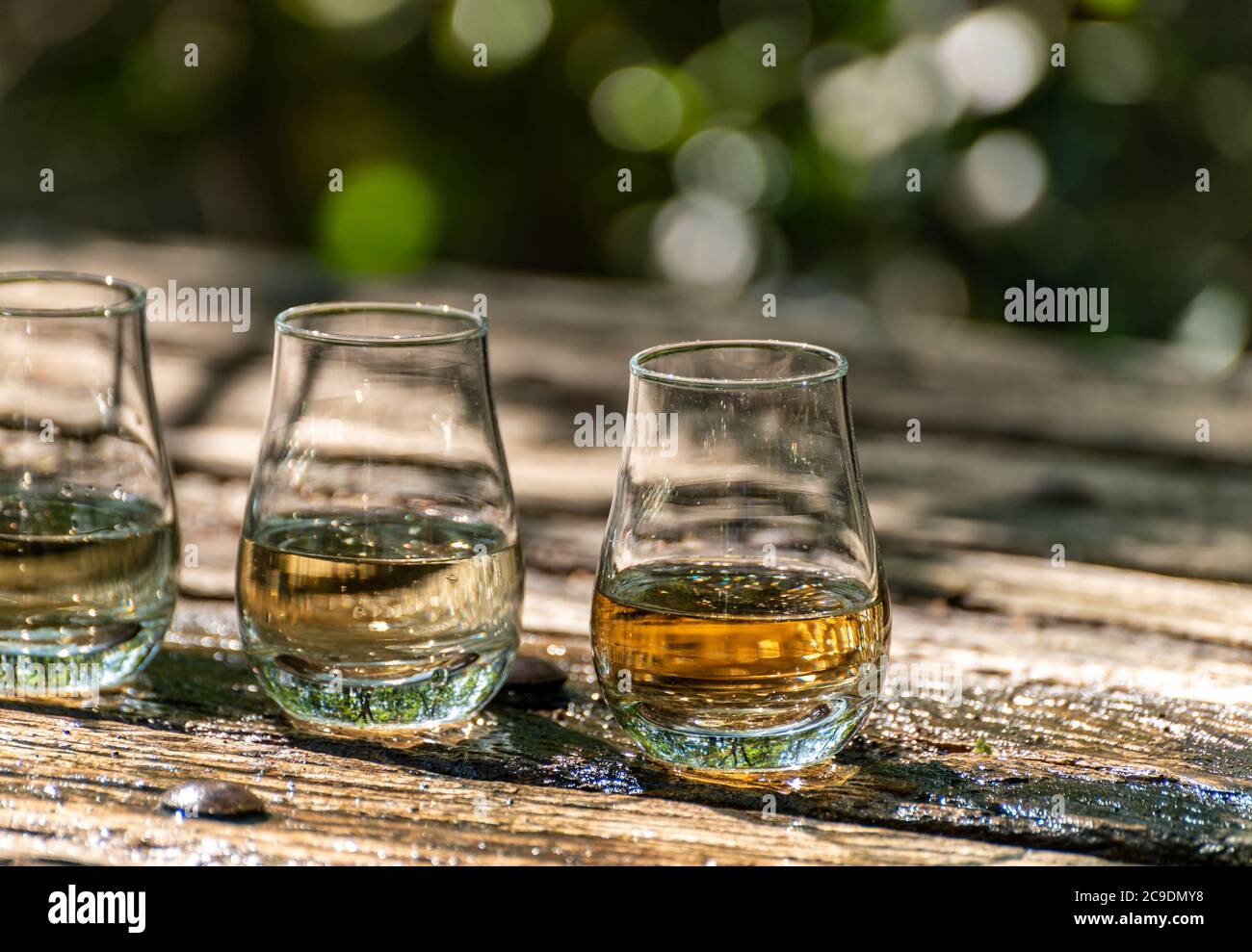 Tasting of different Scotch whiskies on outdoor terrace, dram of ...