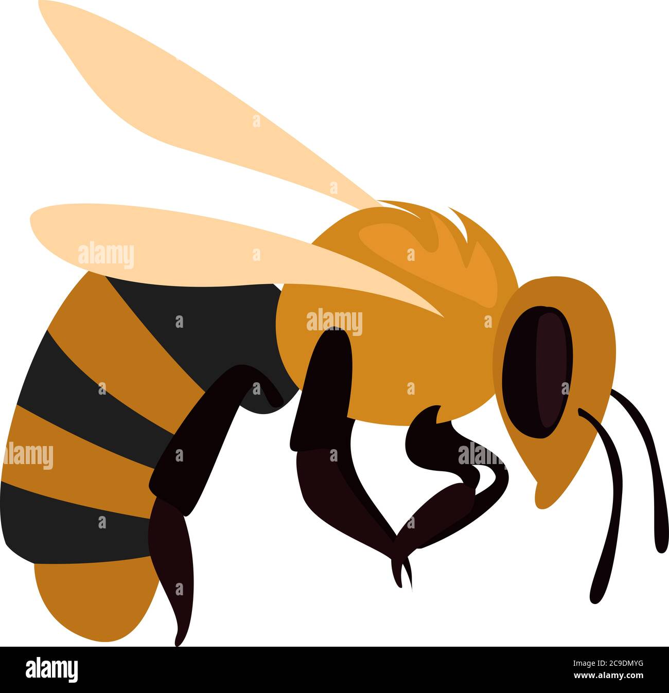 Wild bee, illustration, vector on white background Stock Vector Image ...