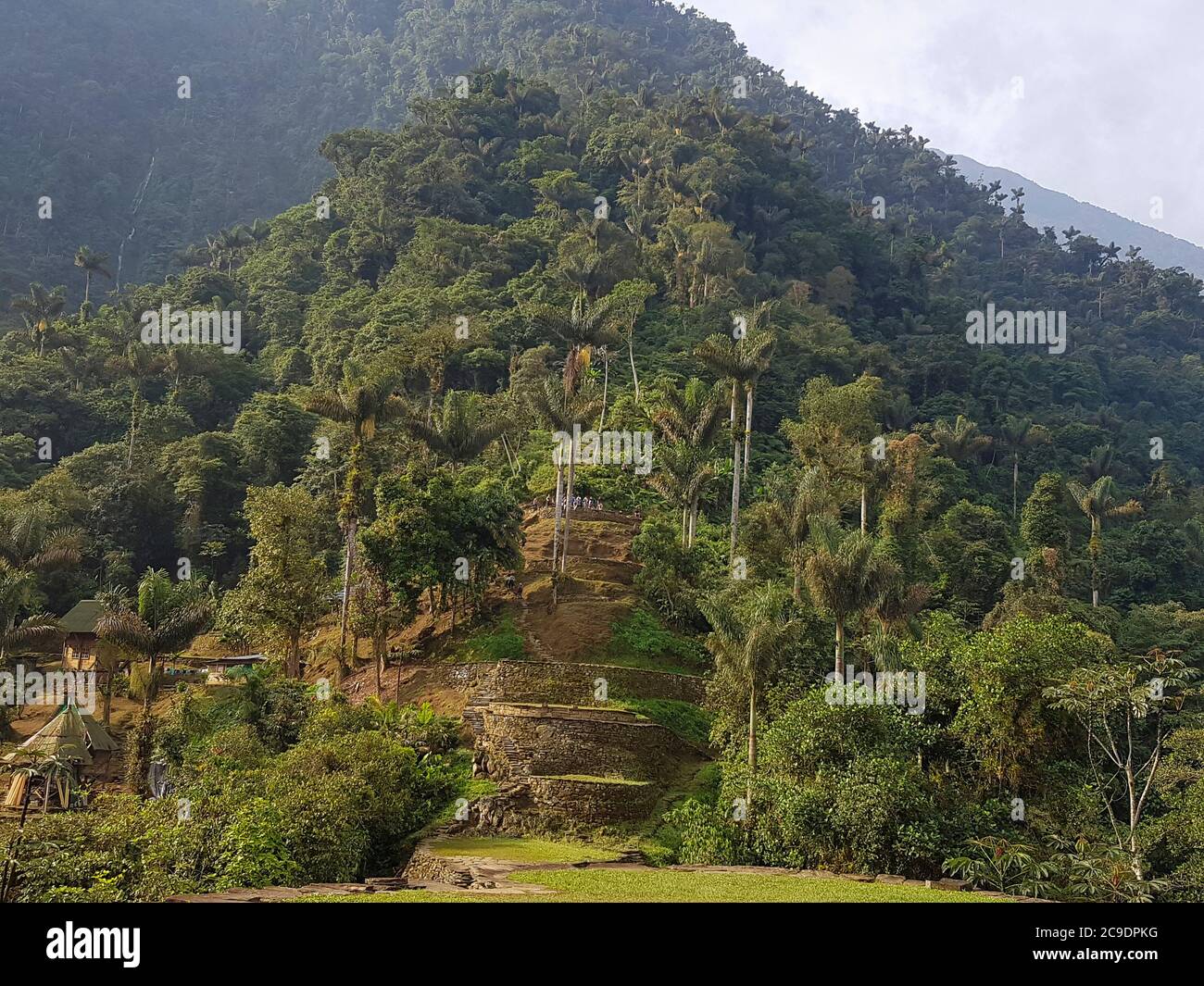 scenery around the Lost City named Ciudad Perdida in Colombia Stock ...