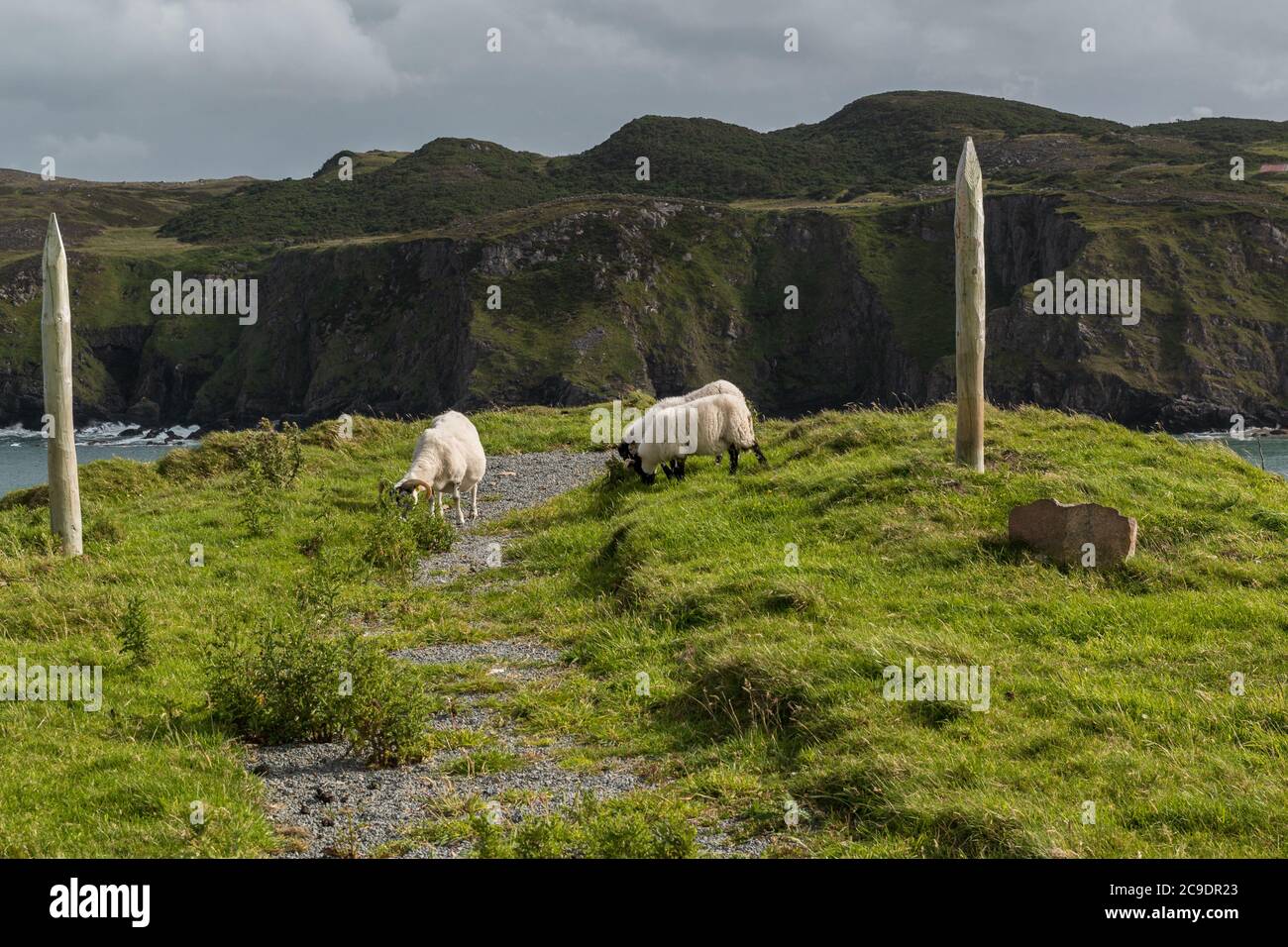 The Fanad Peninsula in Donegal, West Coast of Ireland. Wild Atlantic ...