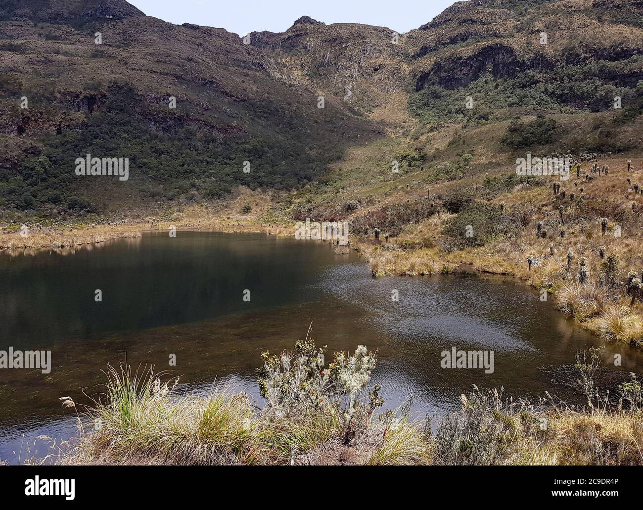 Andes mountain colombia hi-res stock photography and images - Alamy