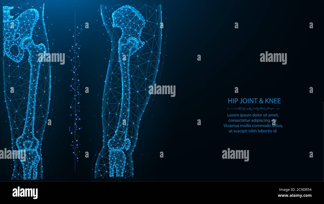 Blue polygonal illustration of hip and knee joint, front and side views ...