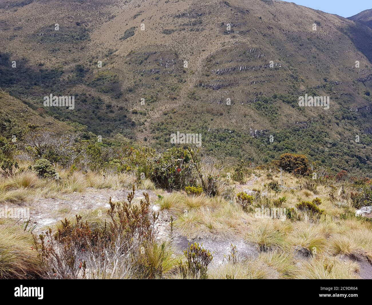 Andes mountain colombia hi-res stock photography and images - Alamy