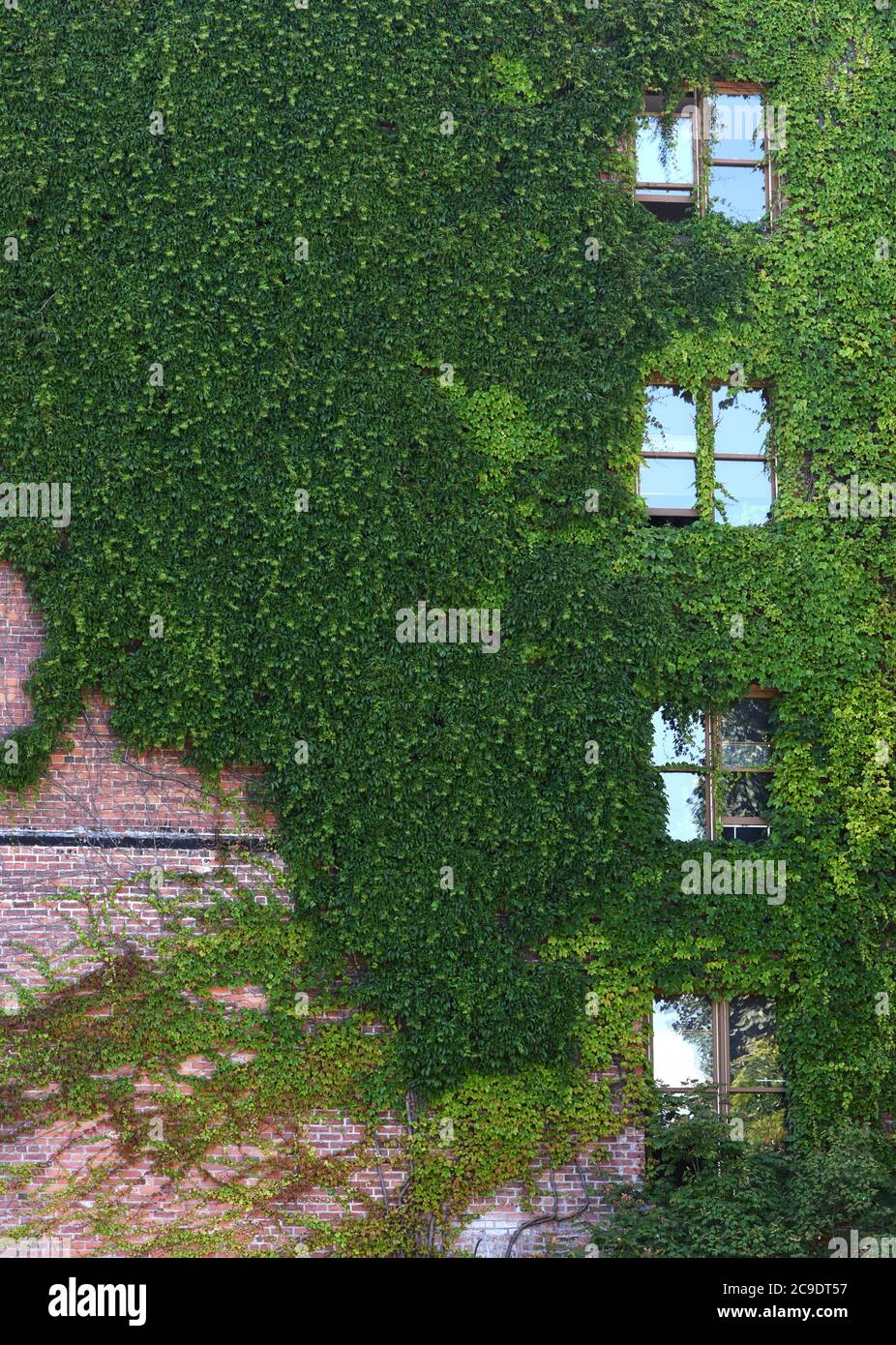 Climbing out window hi-res stock photography and images - Alamy