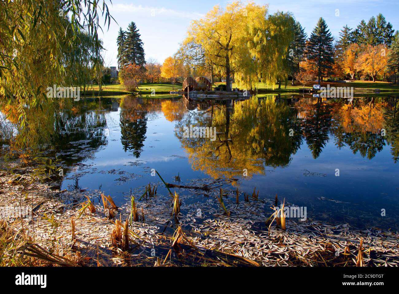 View of the backyard garden with the reflection of fall color in the ...