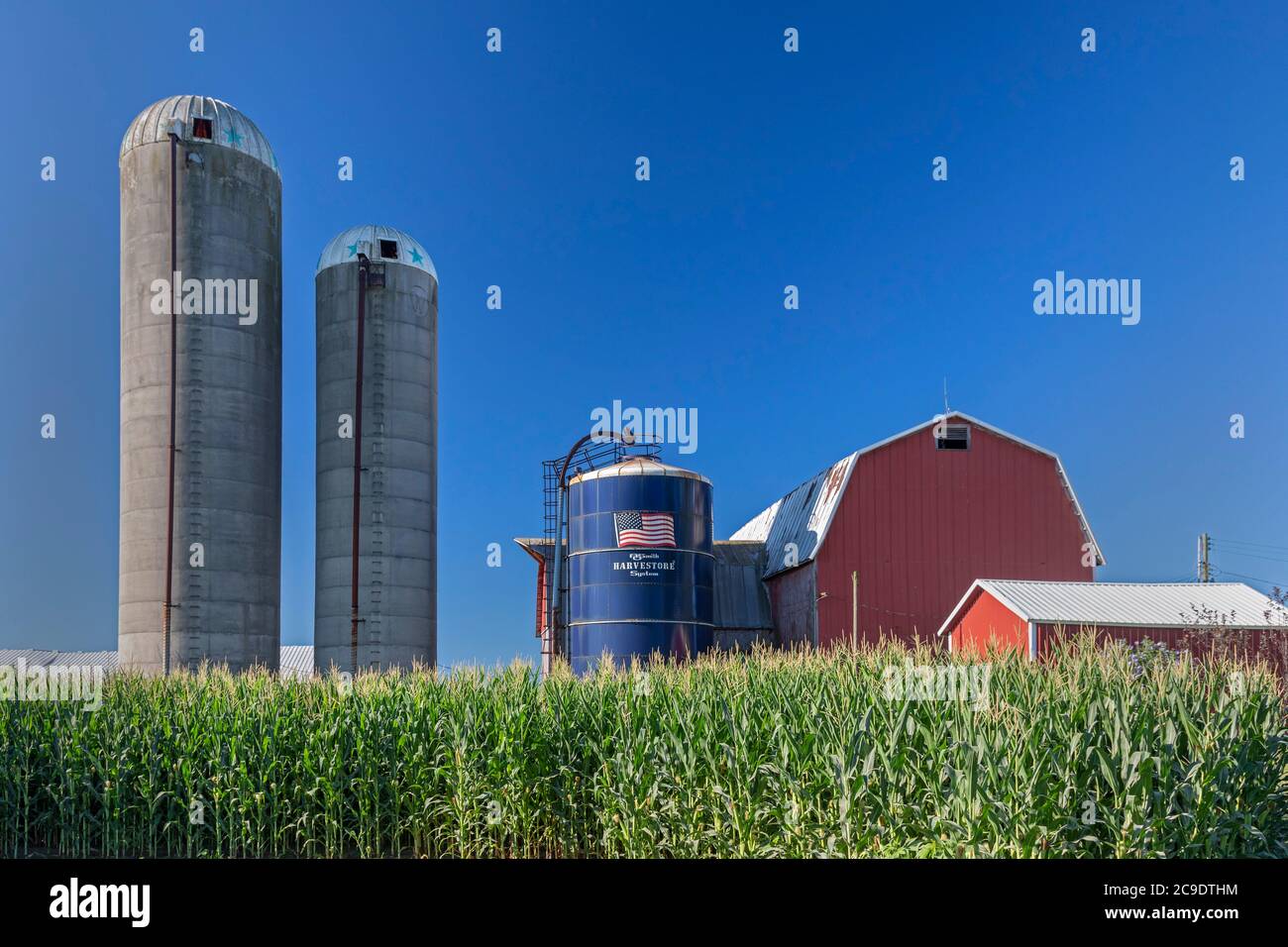 Shelbyville, Michigan - Silos on a farm in western Michigan Stock Photo ...