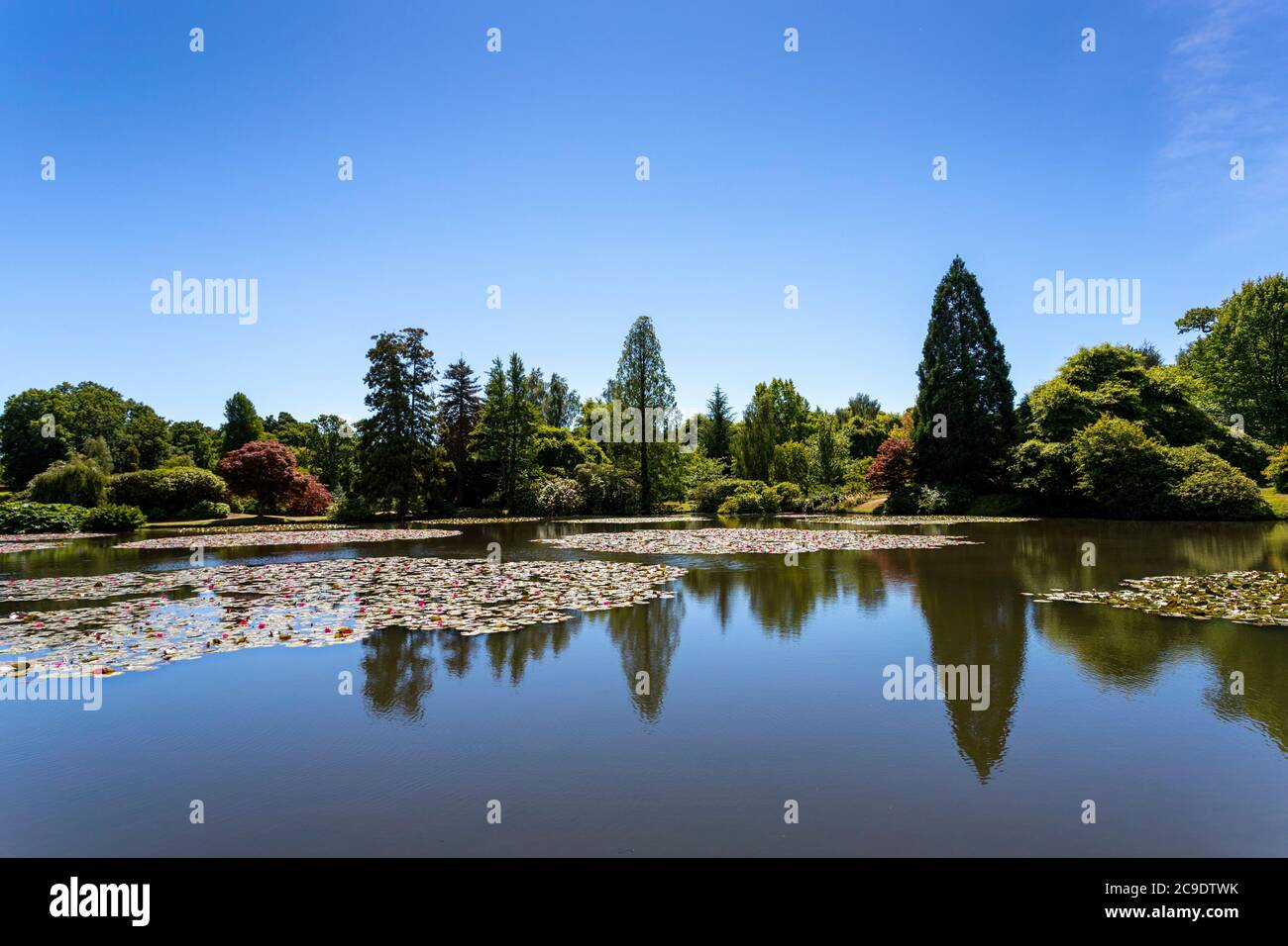 Sheffield park capability brown hi-res stock photography and images - Alamy