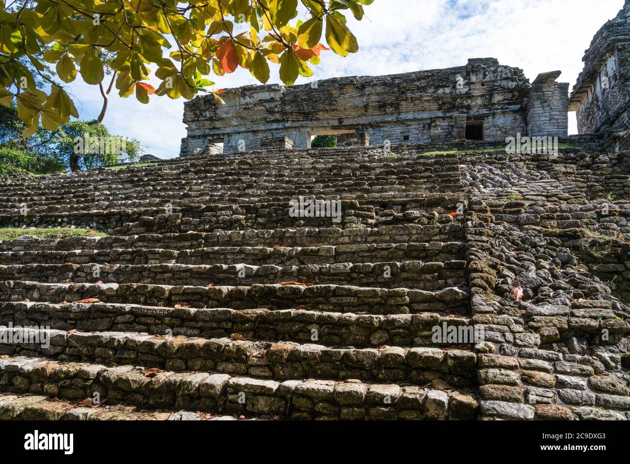 Mayan temples in the jungle at palenque in chiapas mexico hi-res stock ...