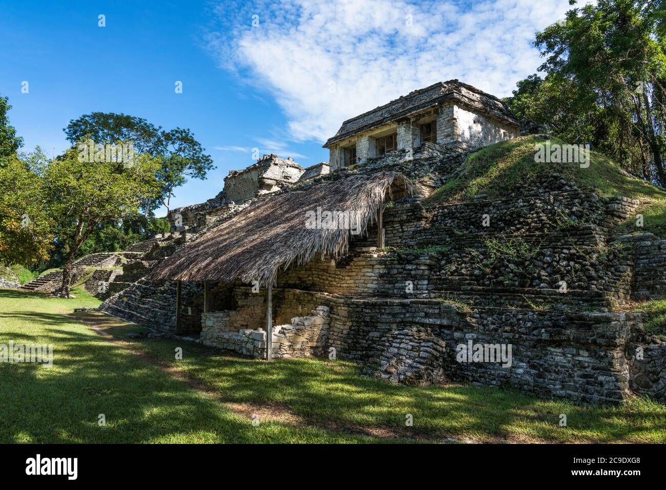 Mayan temples in the jungle at palenque in chiapas mexico hi-res stock ...