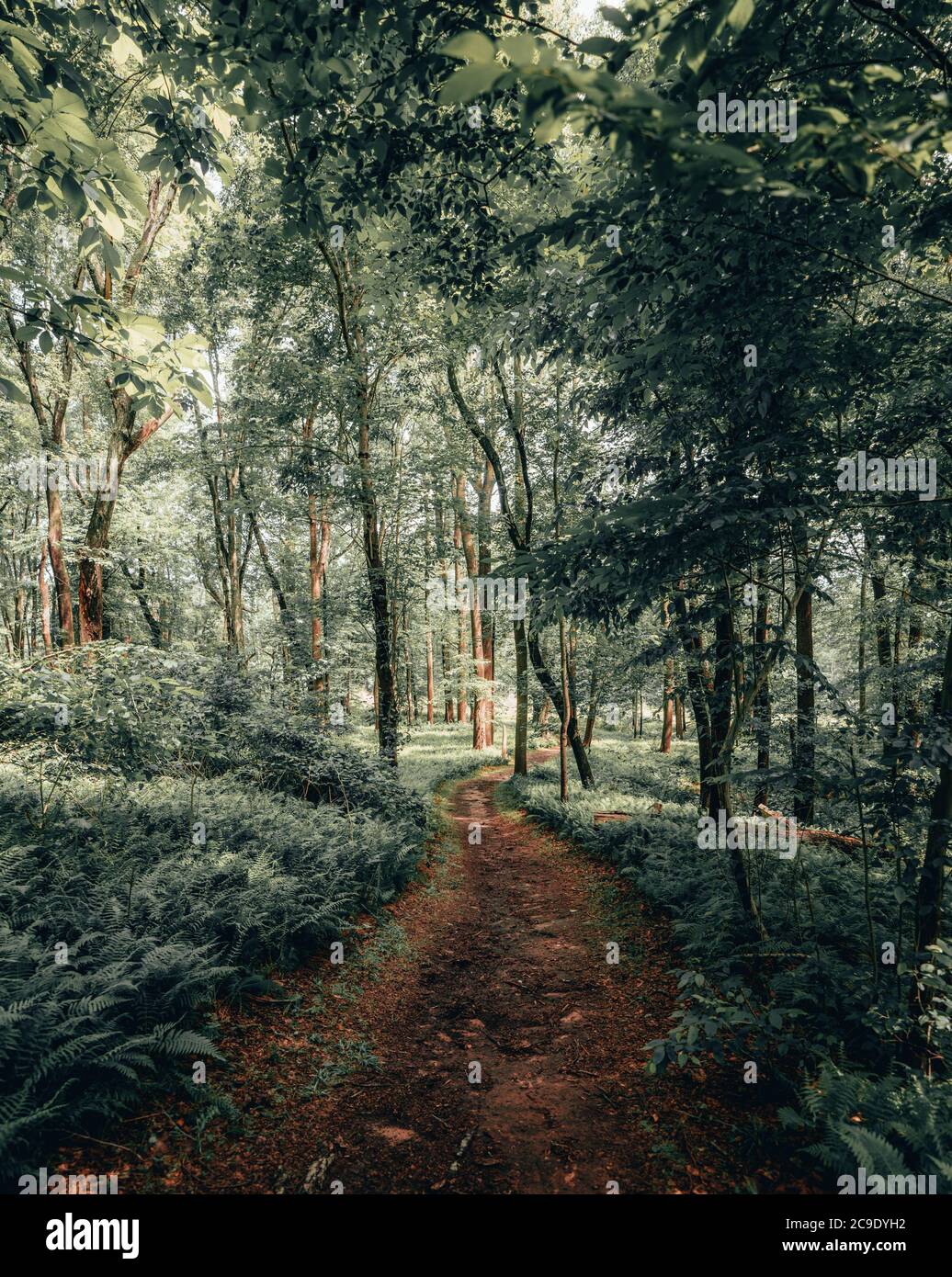 Outdoor Paths to Adventure Stock Photo - Alamy