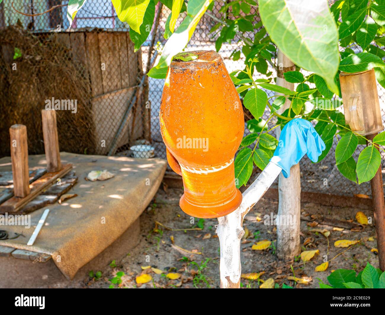 Earthenware jug on a green tree branch. Household. Gen. Background ...
