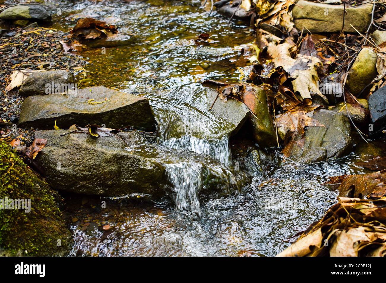 A Small Stream of Fast Flowing Water Surrounded by Autumn Foliage Stock ...