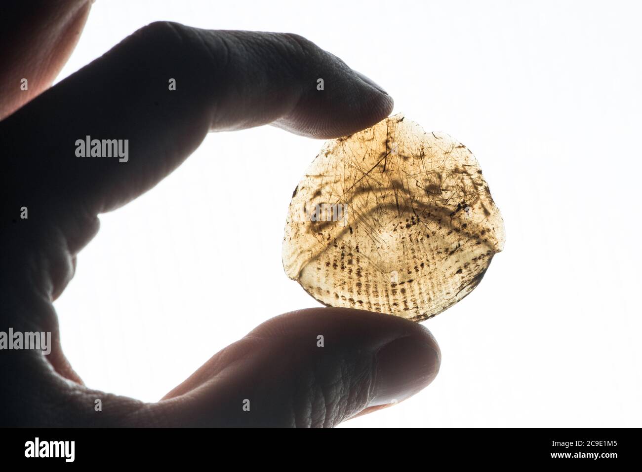 Details of pangolin scale hi-res stock photography and images - Alamy