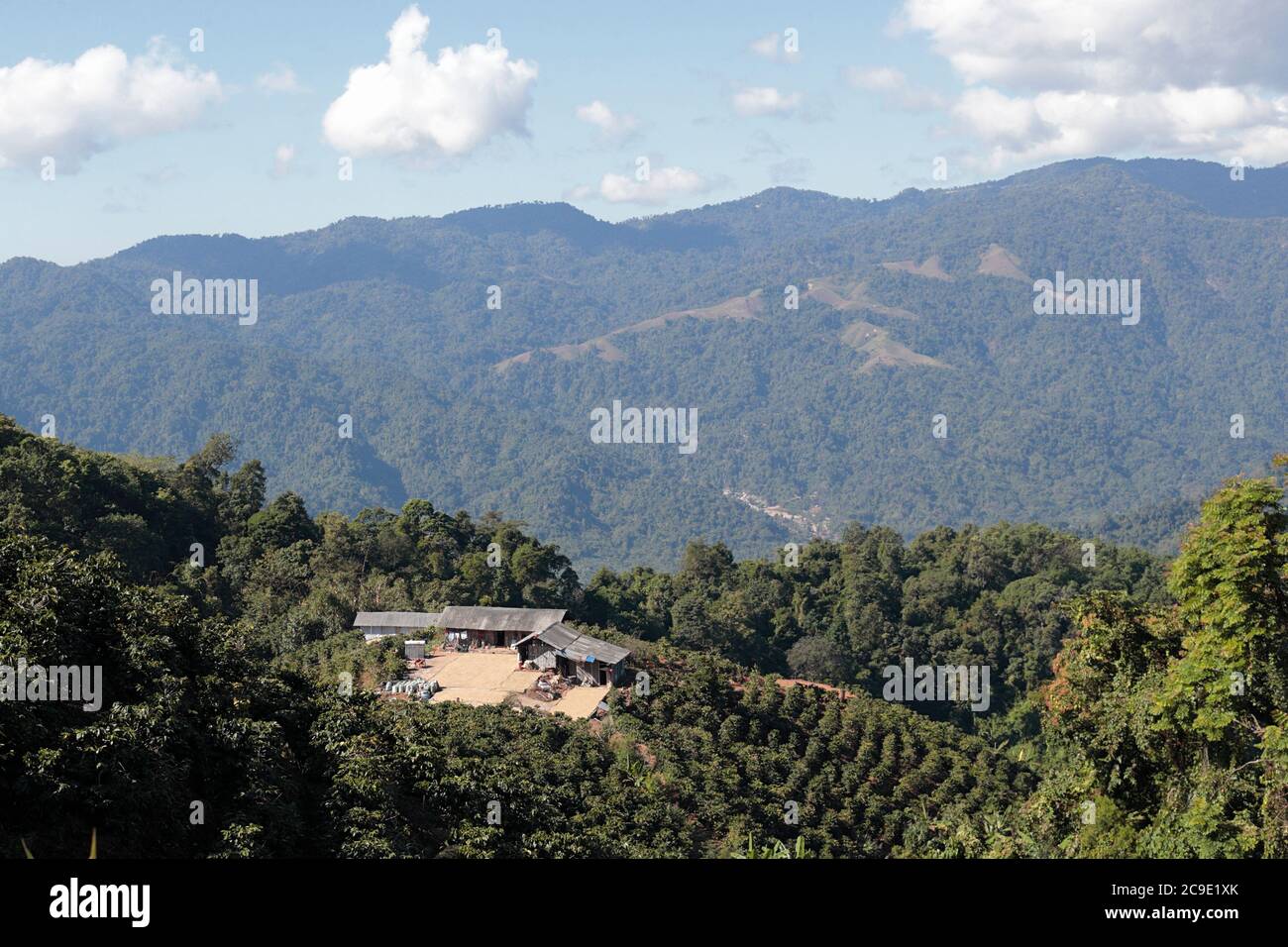 Shi Ti village, hillside farmland, Yingjiang County, southwest Yunnan ...