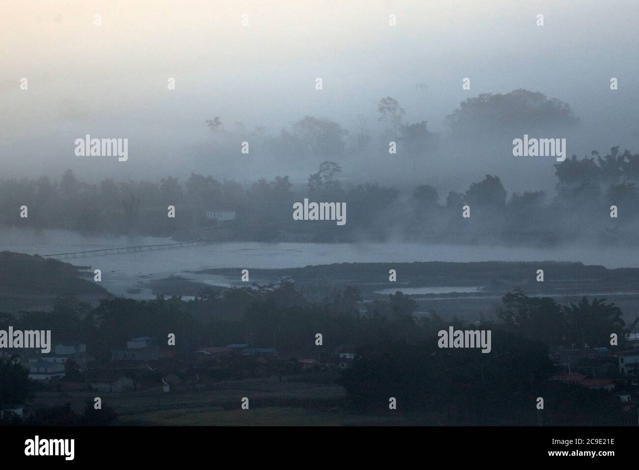 Early morning mist in forest landscape hi-res stock photography and ...