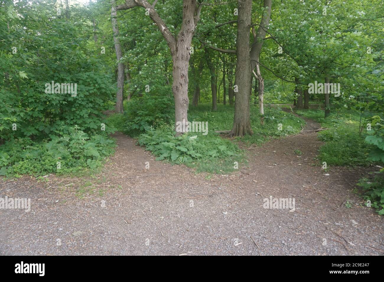 Two pathways hi-res stock photography and images - Alamy