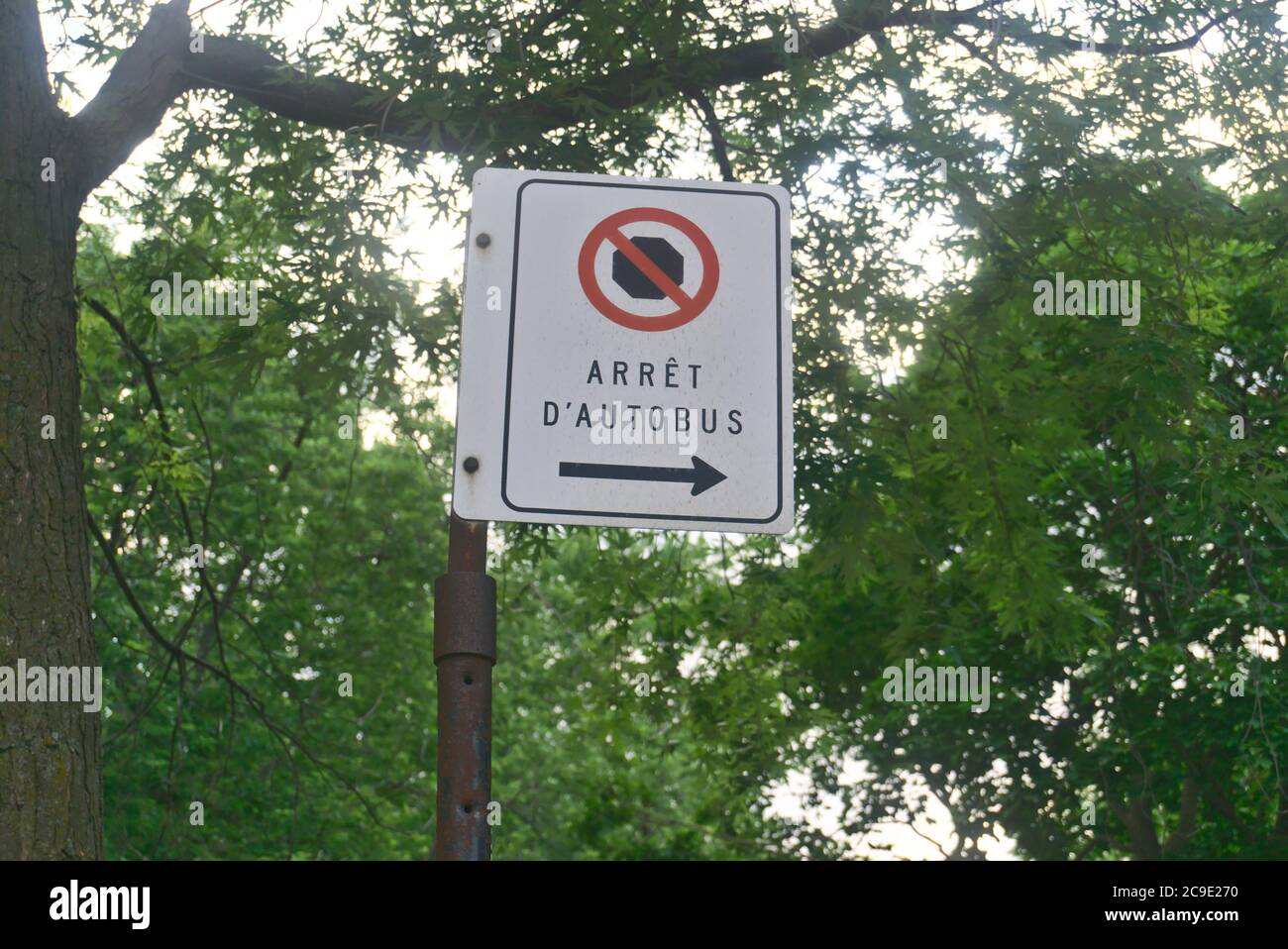 No Stop Sign Says A Bus Stop In French With A Blurry Background Of Tree no-stop-sign-says-a-bus-stop-in-french-with-a-blurry-background-of-tree