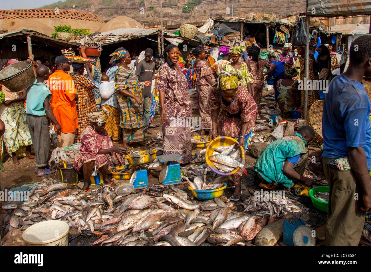 Fresh fish for sale on the morning market in Bamako, the capital and ...