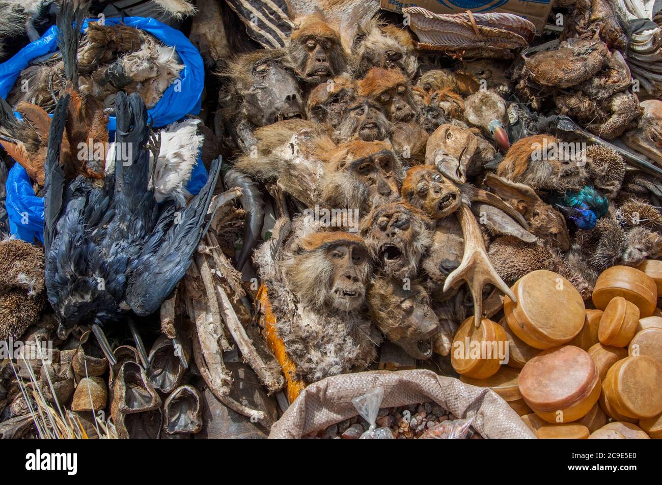 A small market with traditional medicines and dried animal parts in a ...