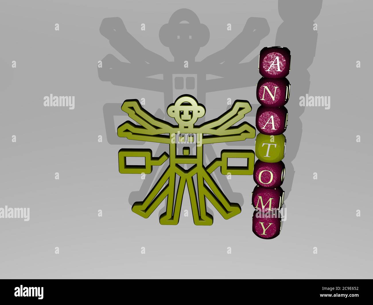 3D graphical image of anatomy vertically along with text built around ...