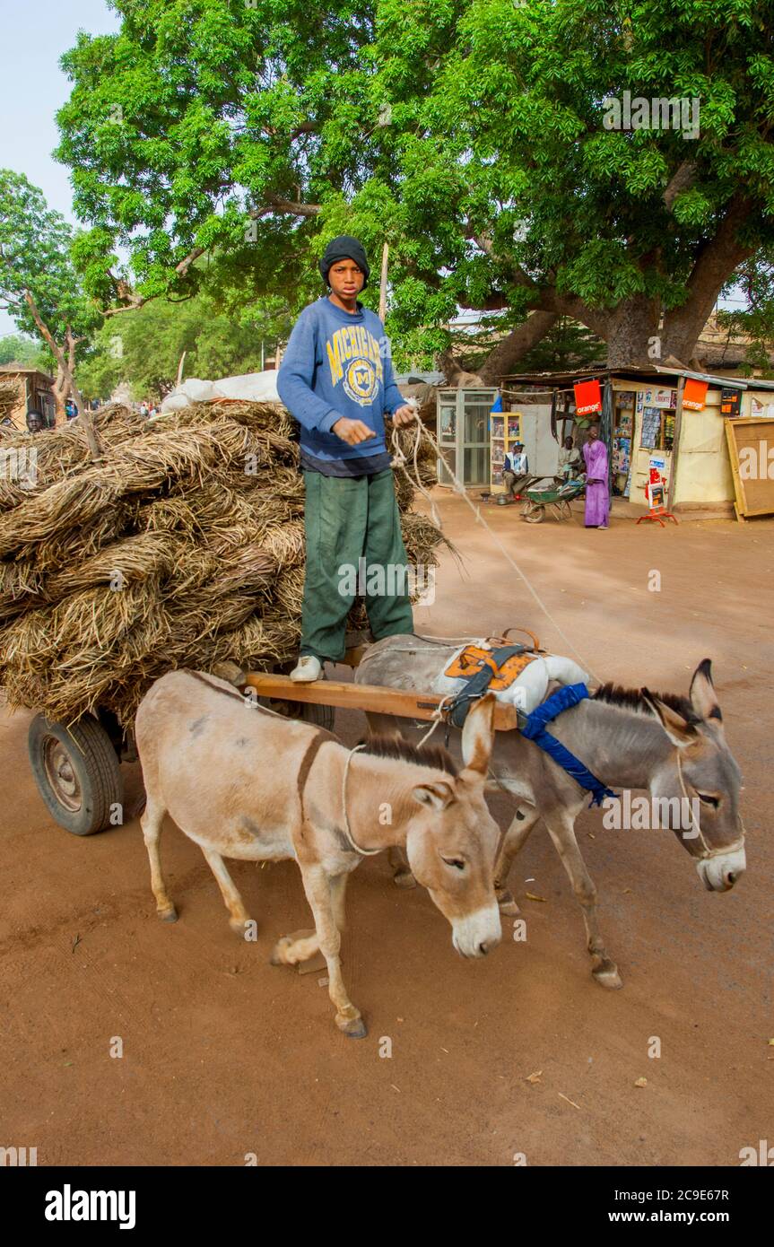 A teenage boy is driving a donkey cart through a street in Segou, a ...