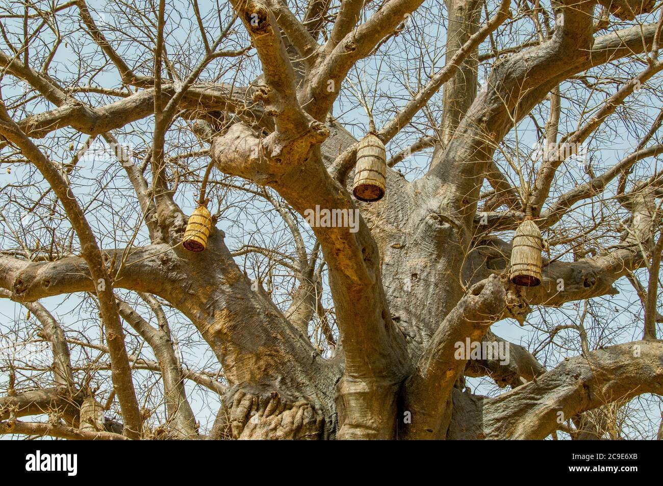 African beehives hi-res stock photography and images - Alamy