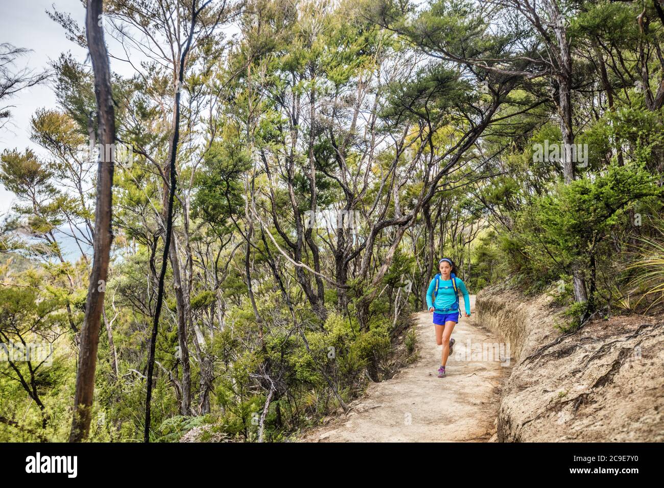 Trail runner woman running in forest nature path outdoors. Sport ...