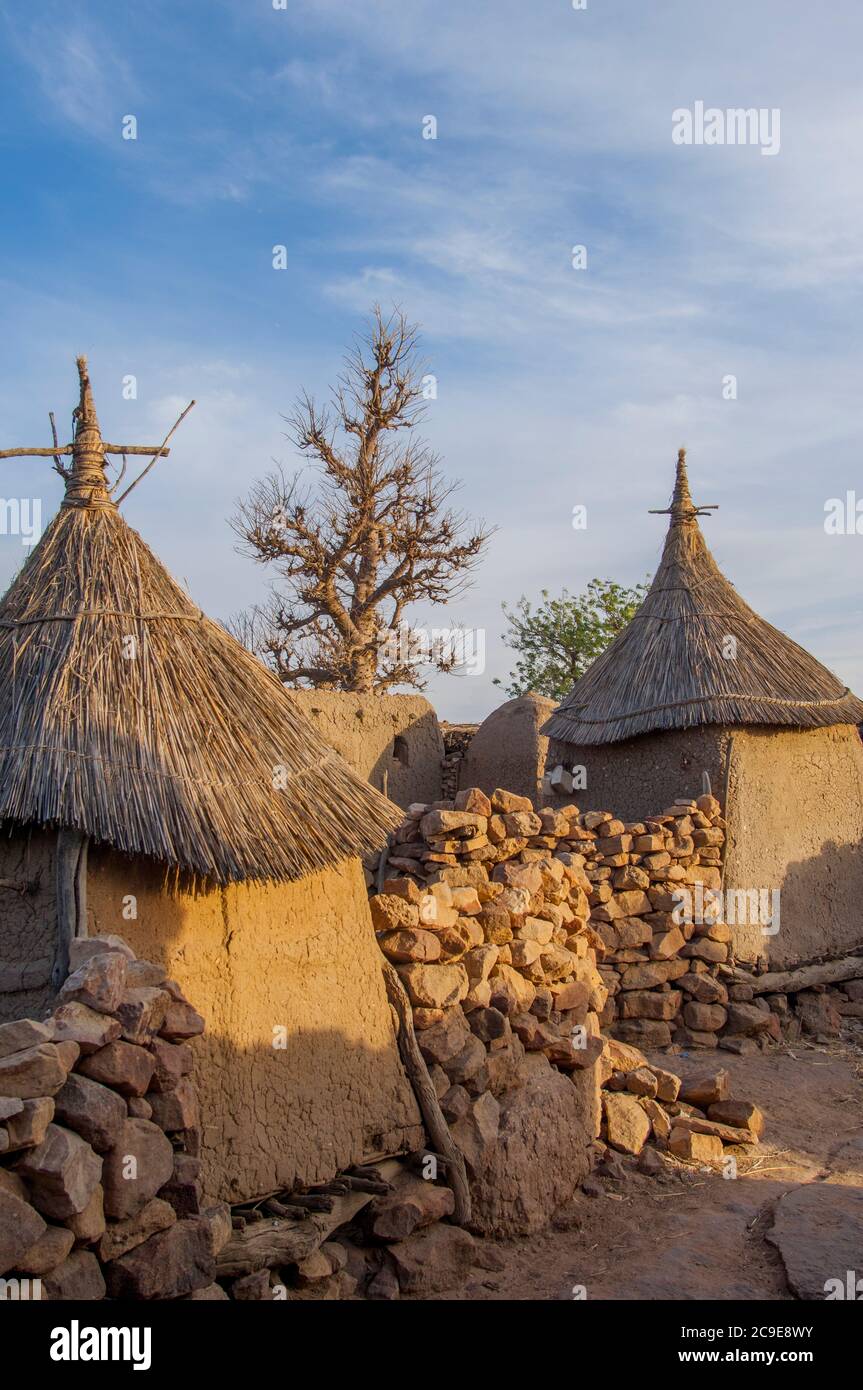 Mudbrick granaries in the Djiguibombo Dogon village in the Bandiagara ...
