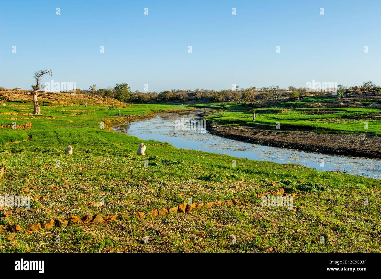 Agriculture water mali hi-res stock photography and images - Alamy