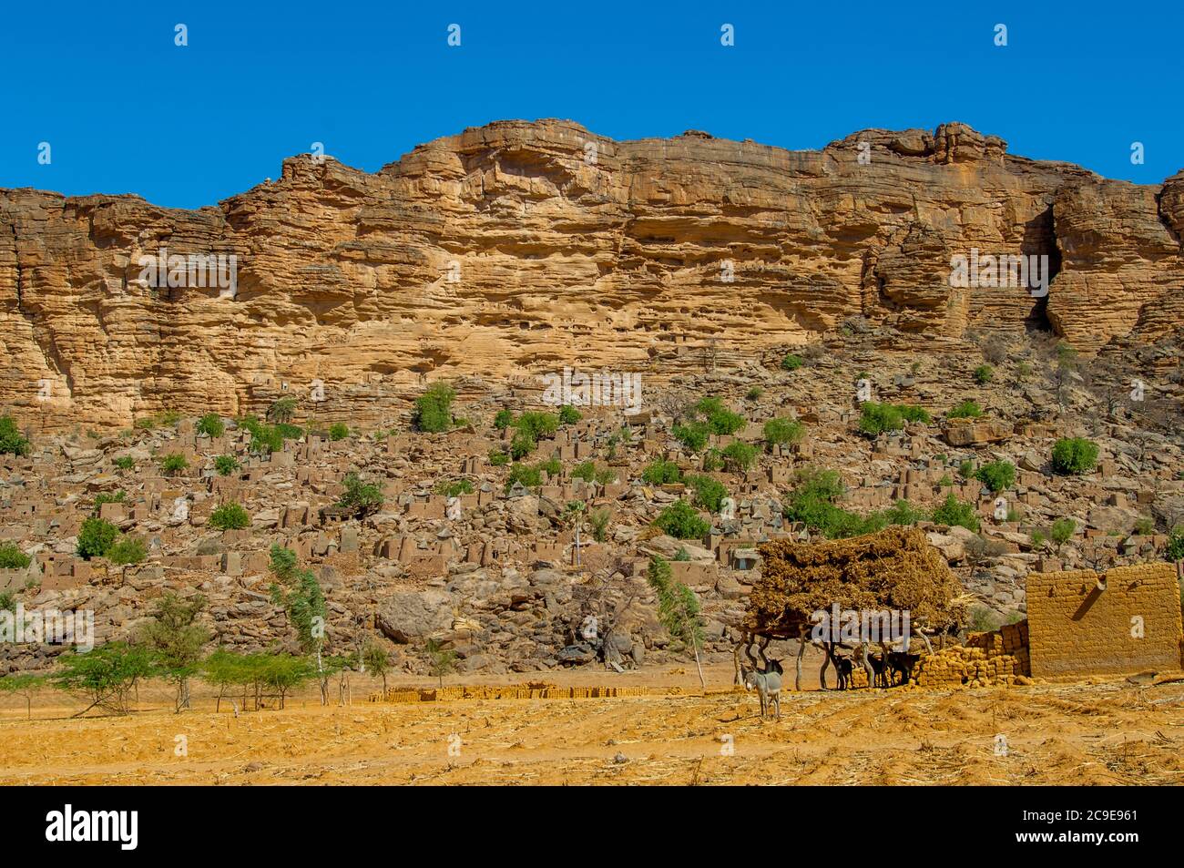 View of a Dogon village in the Bandiagara Escarpment in the Dogon ...