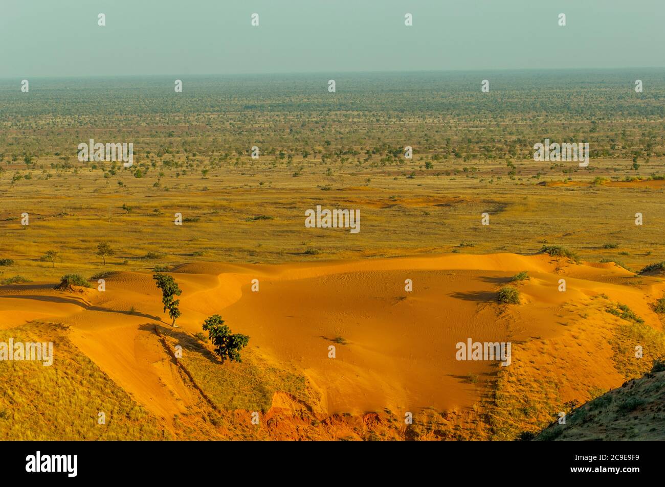 Sahel Desertification