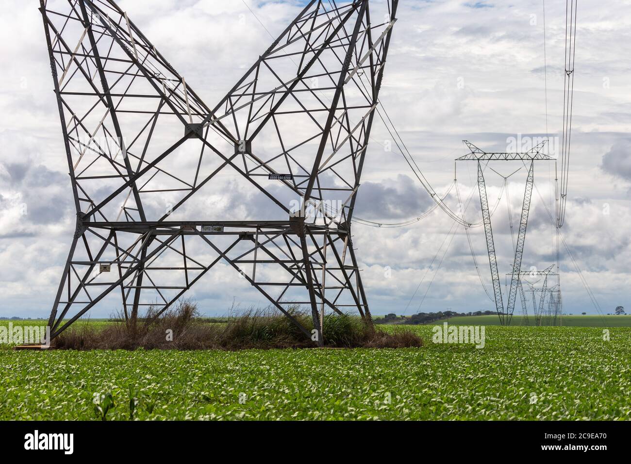 Power lines and pylons in a farm rural area soy field Stock Photo - Alamy
